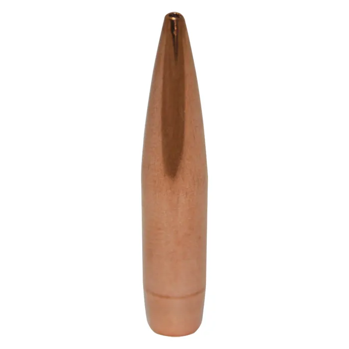 Rifle Bullets - Precision Reloading